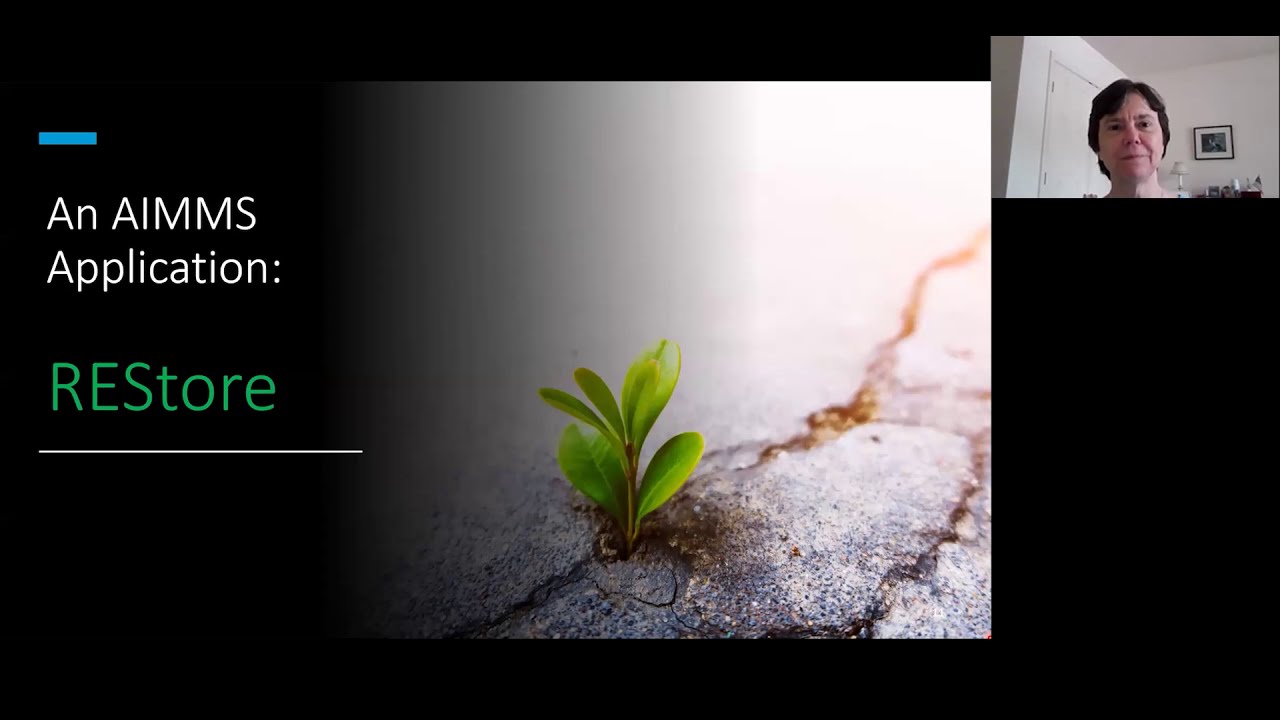 Electricity Market Modeling - AIMMS